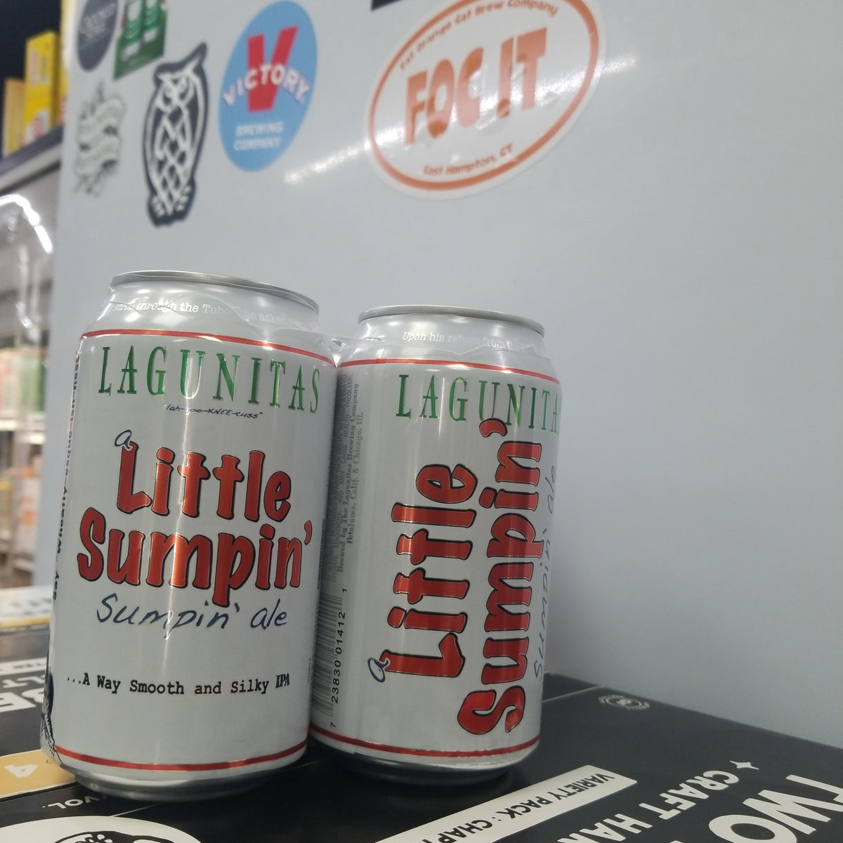 Lagunitas Little Sumpin' Sumpin' Ale – Park Slope Beer Store